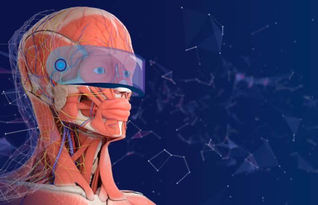 3D Organon VR Anatomy - VR & AR Wiki - Virtual Reality & Augmented ...